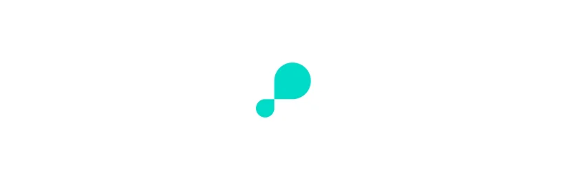 Pasha Construction Logo