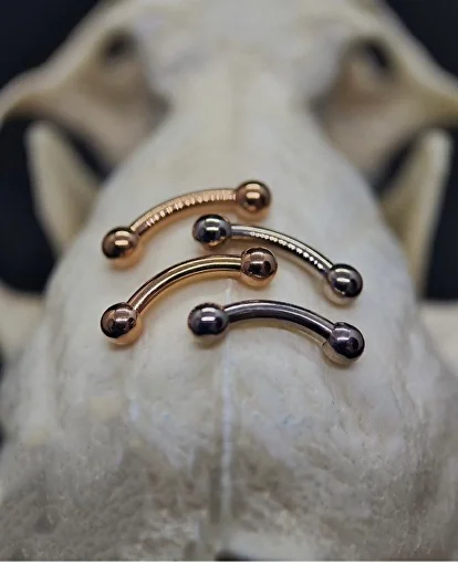 lip piercing edinburgh